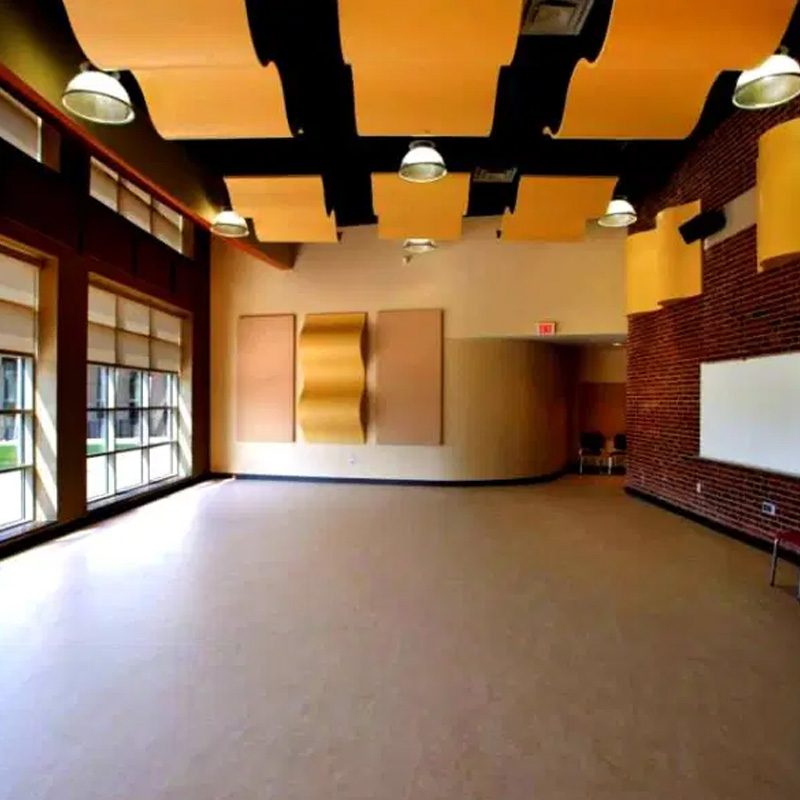 Acoustic Solutions & Acoustical Products | AVL Systems